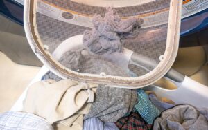 3 Uses for Dryer Lint - Champion Cleaners
